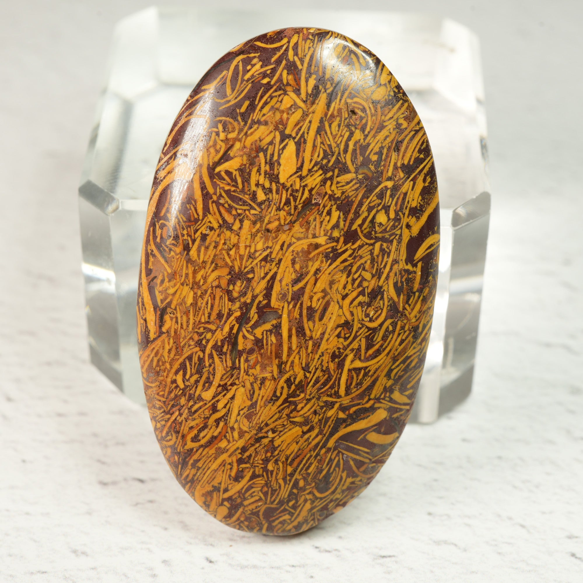 Elephant Skin Jasper AKA Calligraphy Stone - Cabochon – CrystalBarista